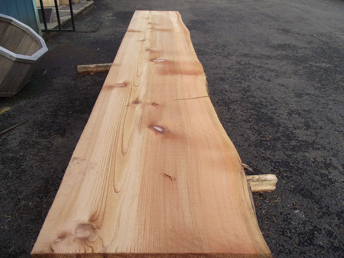 Cedar2_1200x1200.jpg?v=1589500969