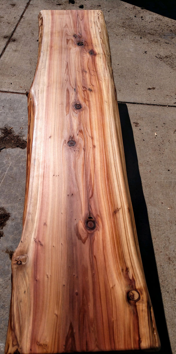 IMG_7020_1200x1200.JPG?v=1604776233